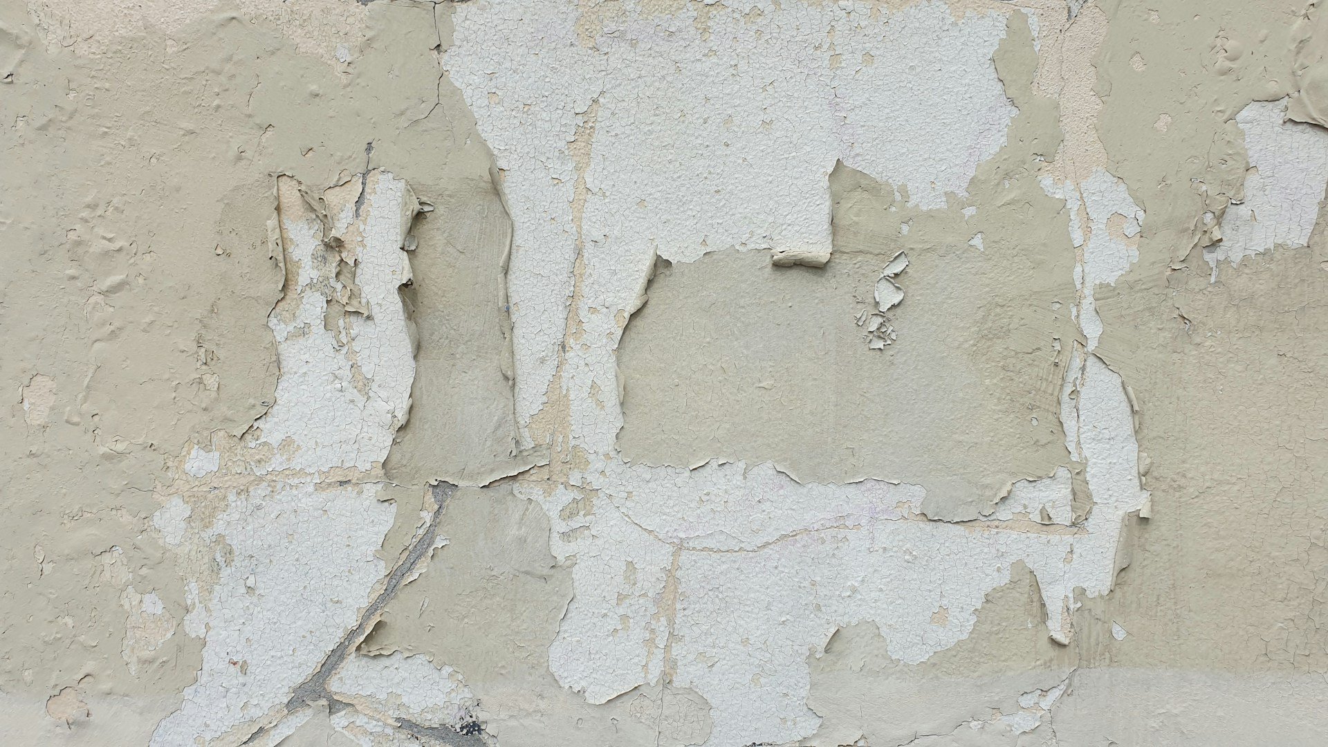 Investigating penetrating damp and how it can affect your property